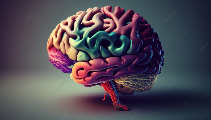 Día mundial de Cerebro :: CMMeraki